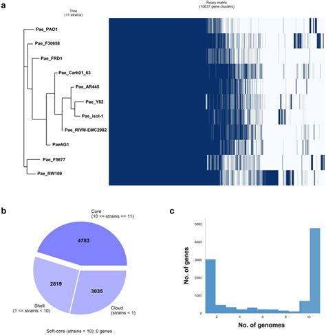 Pan Genome Analysis Of St 111 P Aeruginosa Strains A Clustering