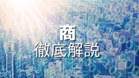 Pythonで理解する素因数分解！初心者でも5ステップで理解できる方法 Japanシーモア