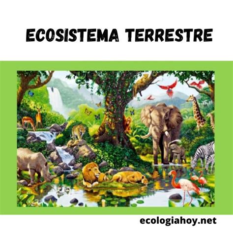 Ecosistema Terrestre Concepto Caracteristicas Y Ejemplos Themelower