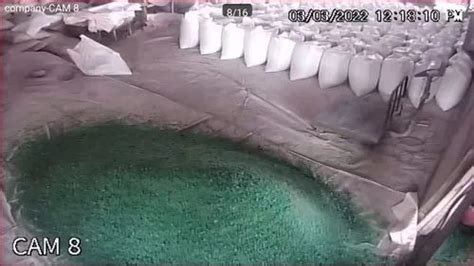 Ferrous Sulphate Grade Standard Technical Grade Sugar Crystals And
