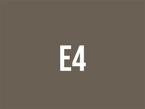 What Does E4 Mean Meaning Uses And More FluentSlang