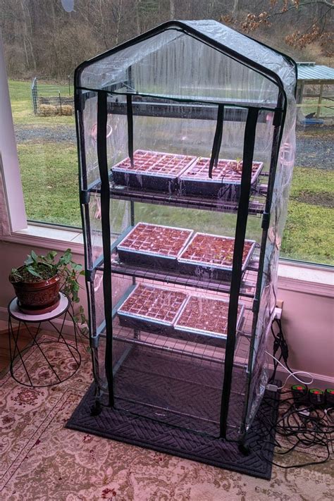 My Indoor Seed Starting Set Up A Brilliant Hack Seed Starting