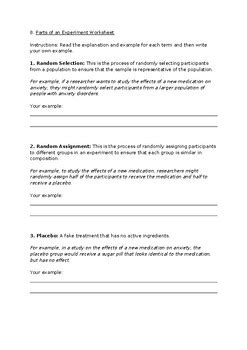 8 Parts Of An Experiment Worksheet By Andrew Hewitt TPT