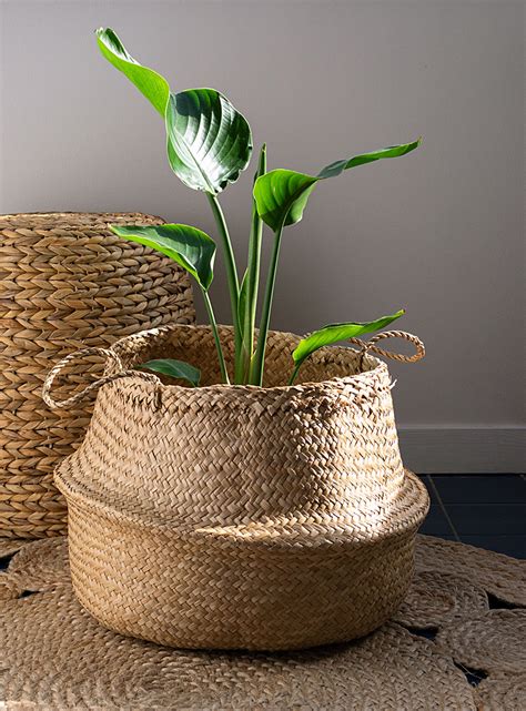 Baskets And Storage Simons