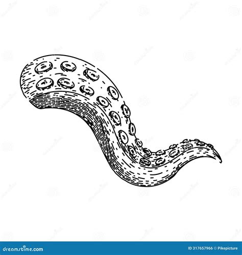Monster Octopus Kraken Tentacle Sketch Hand Drawn Vector Stock Vector