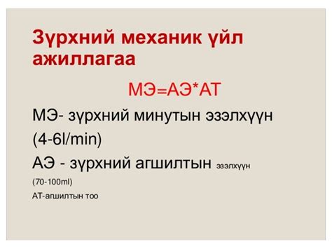 Зүрхний анатоми ба физиологи
