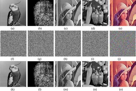 the results of encryption and decryption a plain image of bird b