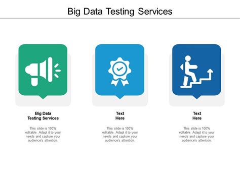 Big Data Testing Services Ppt Powerpoint Presentation Gallery