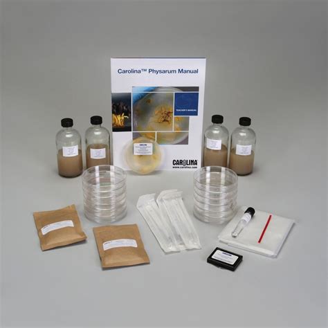 The Slime Mold Physarum Polycephalum A Single Celled Organism For