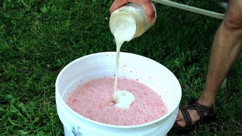Strawberry Banana Moonshine Mash Recipe
