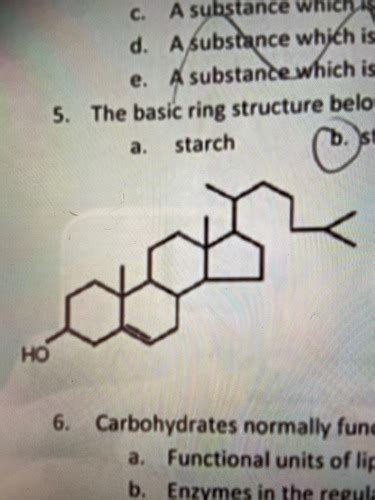 Bio Carbohydrates And Lipids Flashcards Quizlet