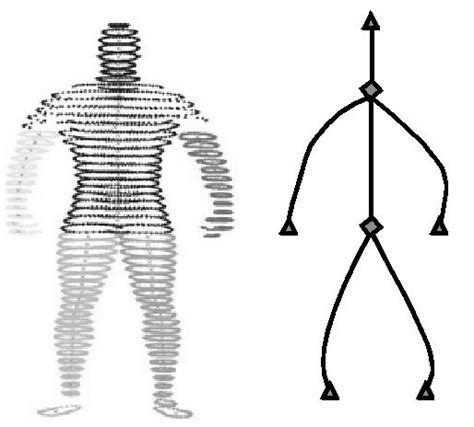 Reeb Graph Of A Human Figure Download Scientific Diagram