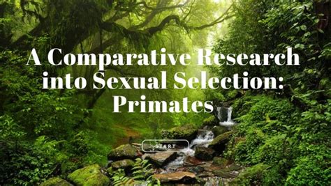 Comparative Research Sexual Selections