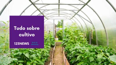 Tudo Sobre Cultivo News