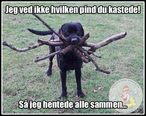 På dansk humor dk finder du mange sjove videoer og billeder som du med