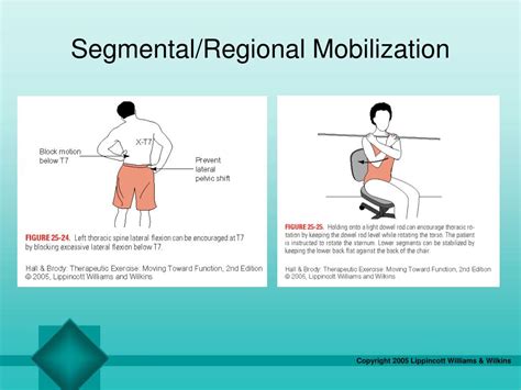 Ppt Chapter 25 The Thoracic Spine Powerpoint Presentation Free