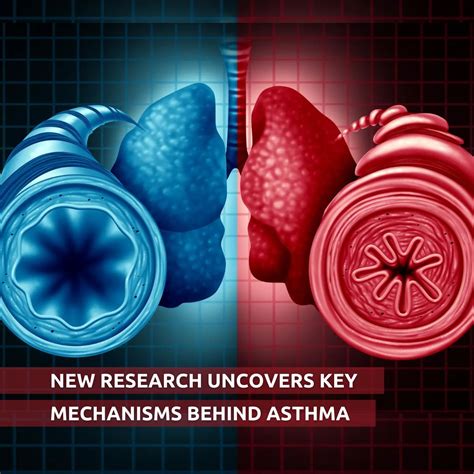 Learn With Scitech Posted On Linkedin