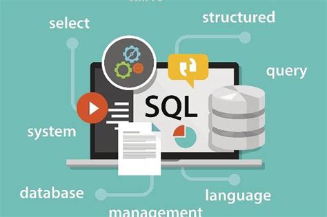 mysql中文参考手册