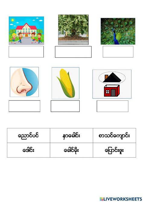 1444218 Myanmar Elvis95 Liveworksheets