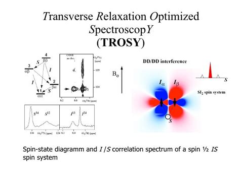 Transverse Optimization Of Spin Relaxation In Nmr