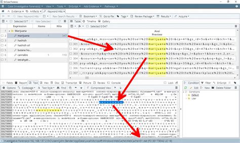 Cybercrime Module 6 Additional Teaching Tools