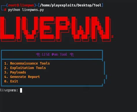 Pwn Challenges Ctf 2025 Binary Exploiation By Livepwn Medium