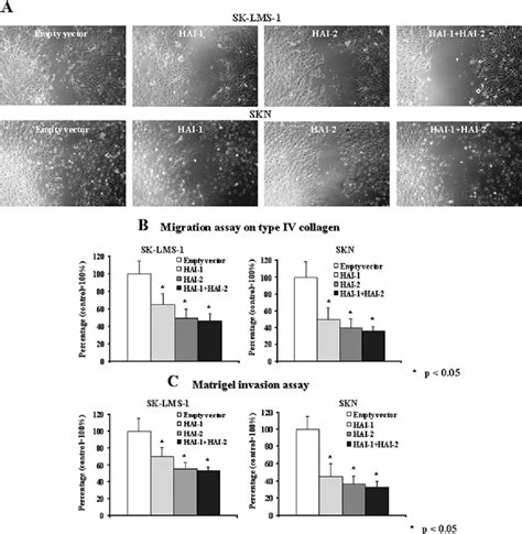 Figure 3 From Hepatocyte Growth Factor Activator Inhibitors Hai 1 And