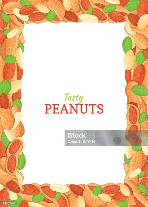 세로 직사각형 색된 프레임 구성 땅콩의 맛 있는 벡터 카드 그림입니다 땅콩 견과류 프레임 호두 껍질에서 과일 식품의 포장 디자인에 대 한 전체 껍질 잎 건강한 식생활에 대한