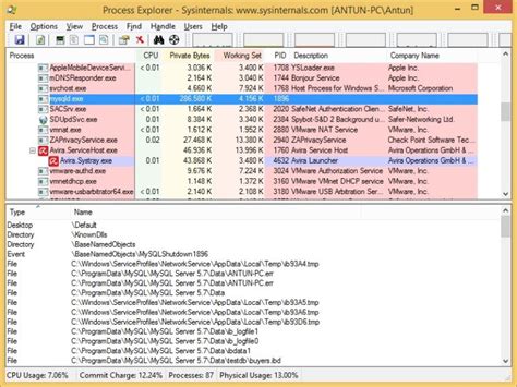 Handle View Process Explorer