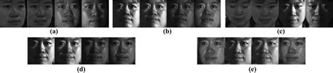Some Examples Of The Cmu Pie Dataset A Left Pose B Upward Pose