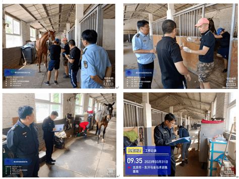 【新闻播报】顺义区农业综合执法大队扎实开展辖区内杭州亚运会参赛马匹监督执法工作监管