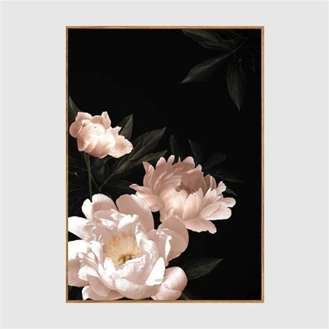 Flowers Art Prints Pink Peony Black Background Canvas Prints