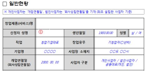 사업계획서 작성요령 일반 현황 작성법 강신정 강사님 네이버 블로그