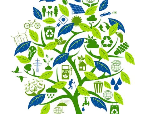 Econometrics Methods And Applications Course Erasmus University Rotterdam Coursera