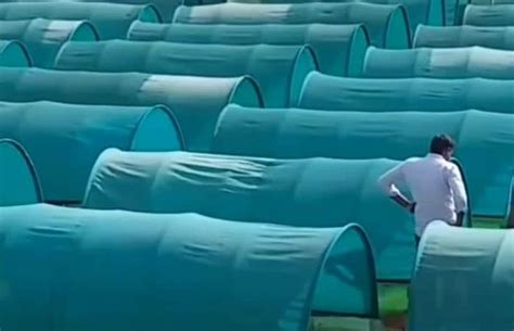 Azolla Farming Azolla Cultivation How To Grow Azolla In Hdpe Pond Fo Video Library