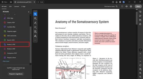 The Ultimate Guide To Understand What A PDF Password Is