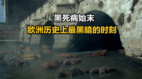 几十年人口锐减2500万，让欧洲陷入至暗时刻的黑死病，为何在中国的影响却没那么大？ 神秘园smy 神秘园smy 哔哩哔哩视频