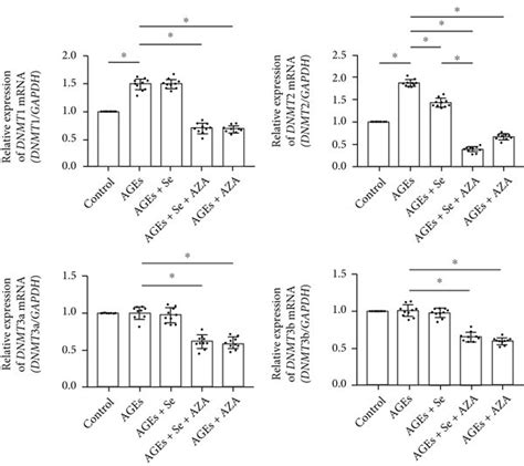 A Columns Indicated Relative Mrna Expression Levels Of Dnmt1 Dnmt2