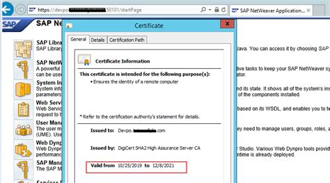 How To Troubleshoot Importrenew And Monitor Java Sap Community