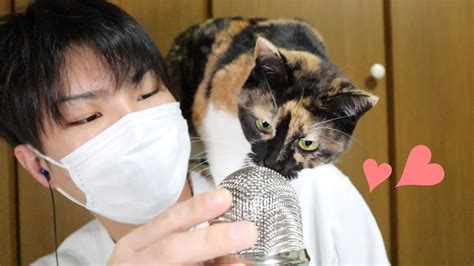 【asmr】愛猫と一緒に癒しのマウスサウンド🐱💤【sub】soothing Mouth Sounds With My Cute Cat