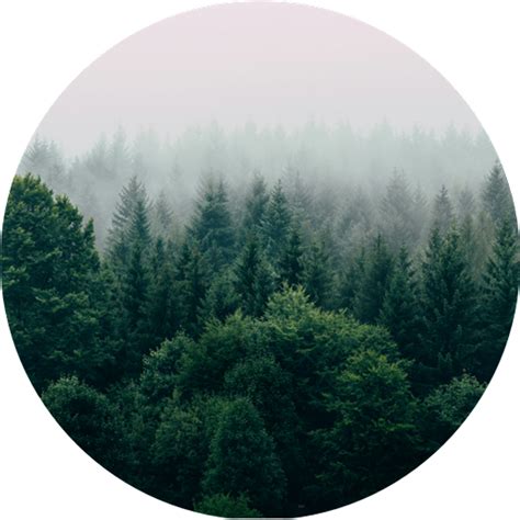 Identity Resource Esg Credentials Id Crypt Global