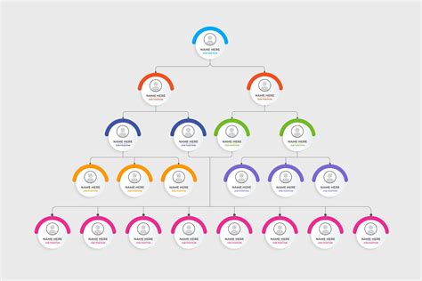 Job Position Infographic Chart Vector Creative Market
