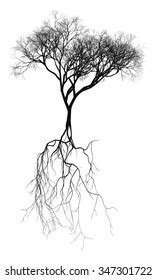 Black Naturalistic Bare Tree Root System Stock Vektor Royaltyfri 347301722 Shutterstock