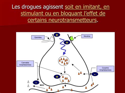 PPT Les Drogues Comment Fonctionnent Elles PowerPoint Presentation ID