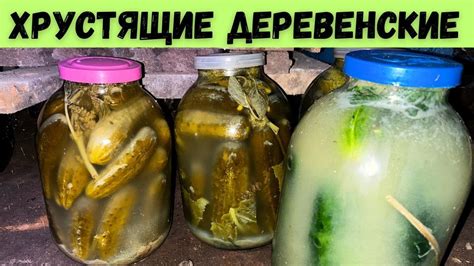 Рецепт САМЫХ ХРУСТЯЩИХ КВАШЕНЫХ ОГУРЧИКОВ ПО ДЕРЕВЕНСКИ Как из бочки закрутки на зиму Youtube