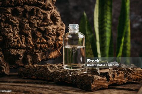 천연 소재가 있는 어두운 배경에 파이펫이 달린 유리 병에 담긴 화장품 세럼 0명에 대한 스톡 사진 및 기타 이미지 0명 갈색 개념 Istock