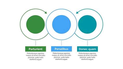 Diagram Showing The Stages Of Circular Process PowerPoint Template Free Download Pikbest