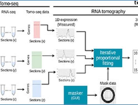 Scspace Reconstruction Of The Cell Pseudo Space From Single Cell Rna