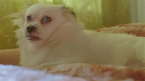 Imágenes De Helluva Boss Loona Pooping Libres De Derechos Depositphotos