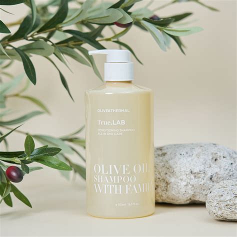 올리브 오일 샴푸 위드 패밀리 500ml 정직한실험실 Truelab